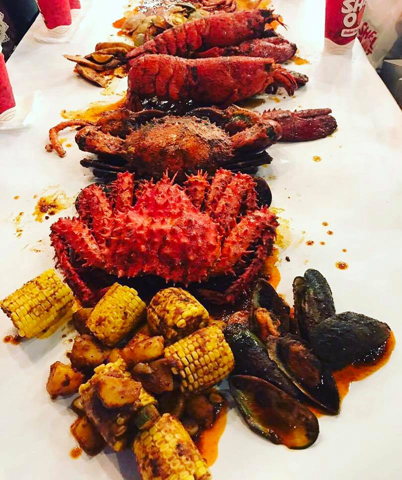 Shell Out | RasaHub