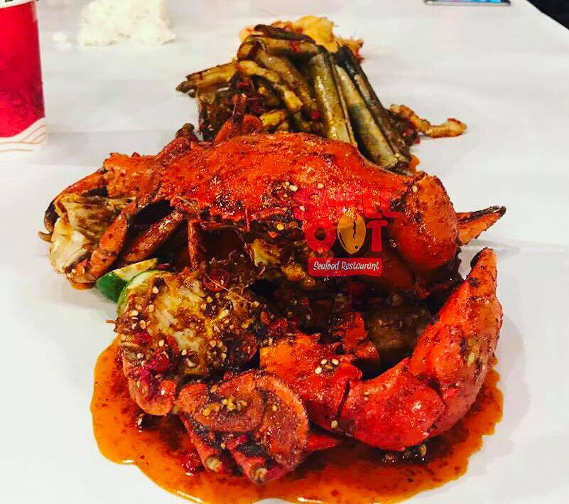 Shell Out | RasaHub